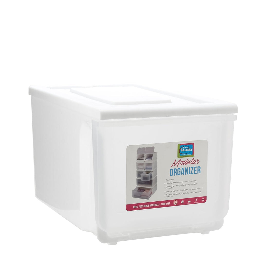 Home Gallery Modular Organizer Drawer Type - 40 x 25 x 20cm – SM Home