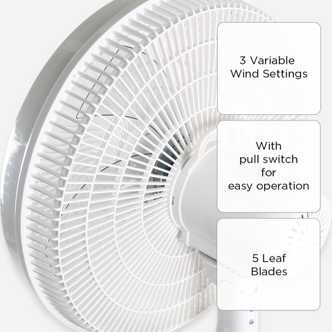 Camel 5-Leaf Blade Desk Fan- 16in – SM Home
